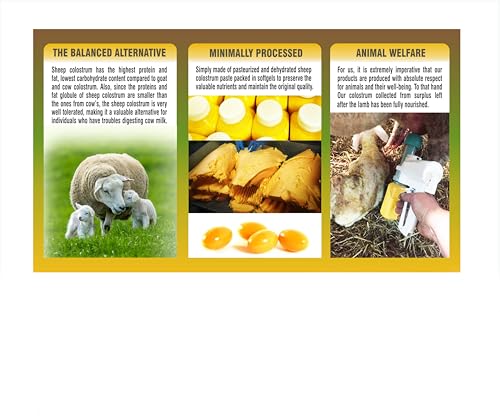 nutrient-rich sheep colostrum