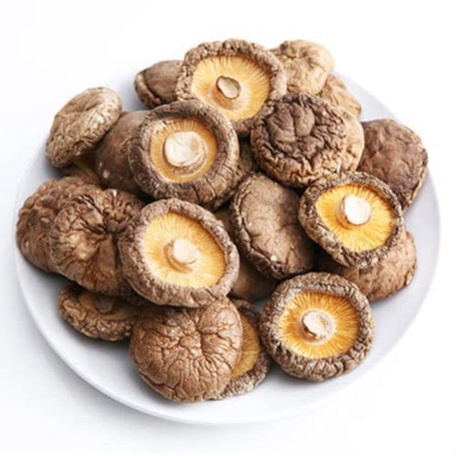 nutrient-rich shiitake mushrooms benefits