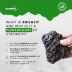 nutrient-rich shilajit extract