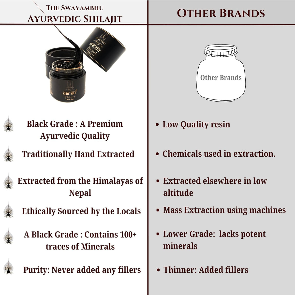 nutrient-rich shilajit extract