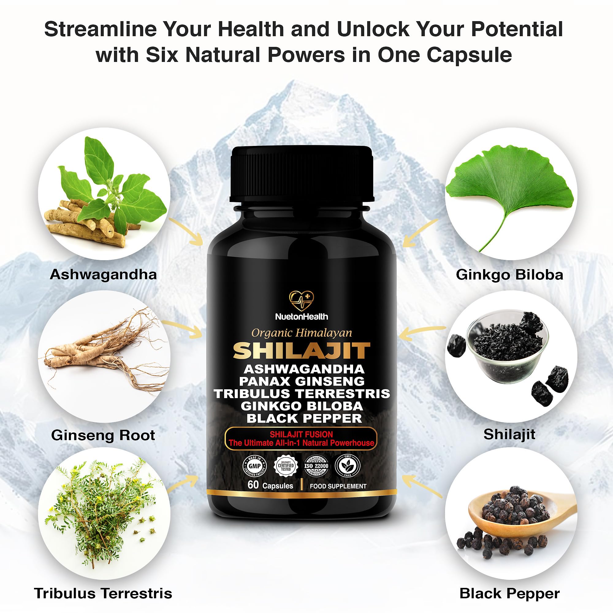 Nutrient-rich shilajit for energy boost