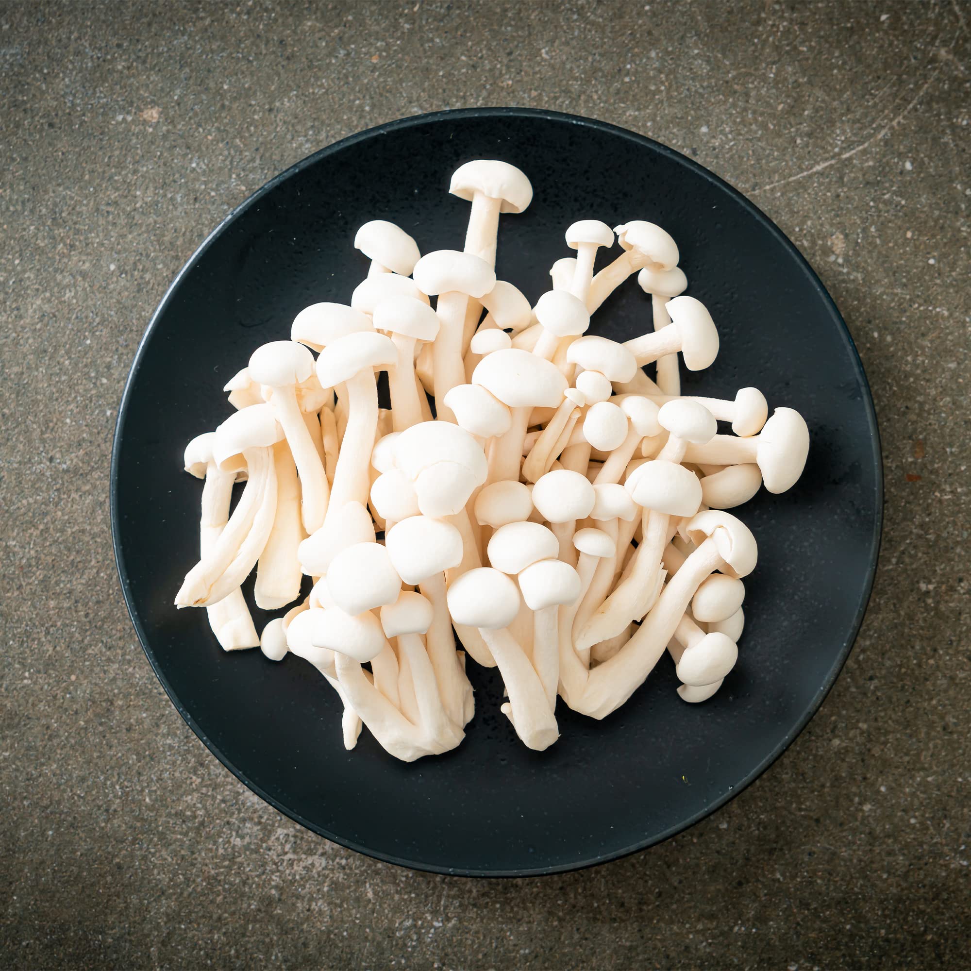 Nutrient-rich shimeji mushroom culture