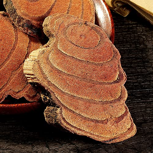 nutrient-rich Spatholobus stem extract