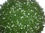nutrient-rich spirulina and chlorella supplement