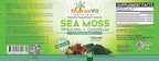 nutrient-rich spirulina and chlorella