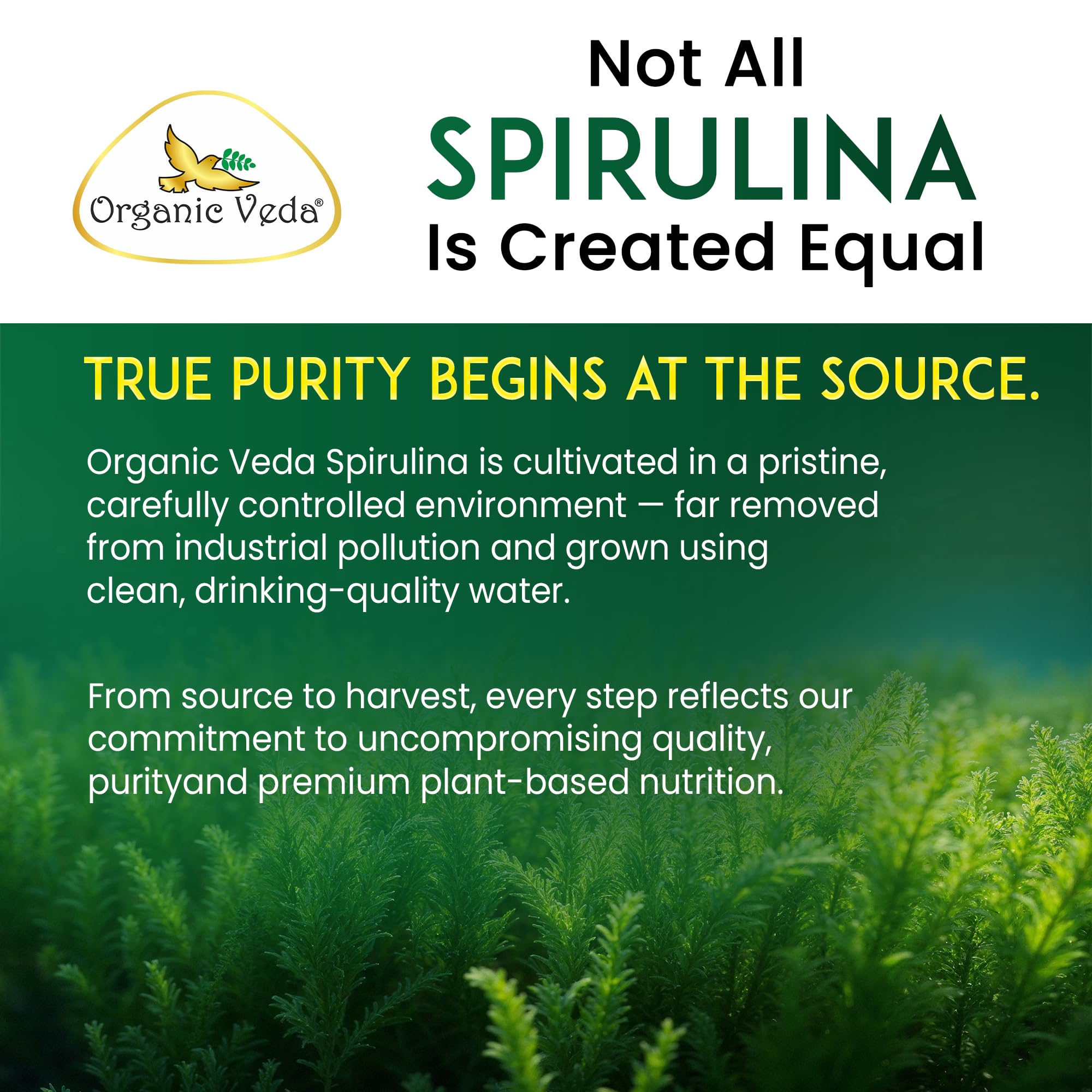 nutrient-rich spirulina for overall health