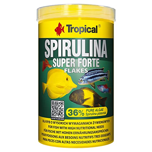 nutrient-rich spirulina for wellness