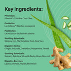Nutrient-rich spirulina greens powder