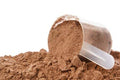 nutrient-rich spirulina protein powder