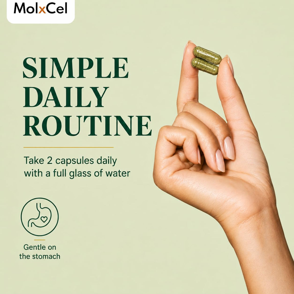 Nutrient-rich sprout capsules supplement