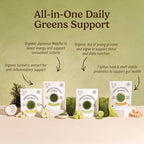 Nutrient-rich super greens powder
