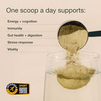 nutrient-rich superfood blend