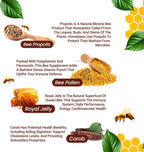 nutrient-rich superfood capsules