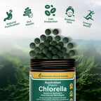 nutrient-rich superfood chlorella