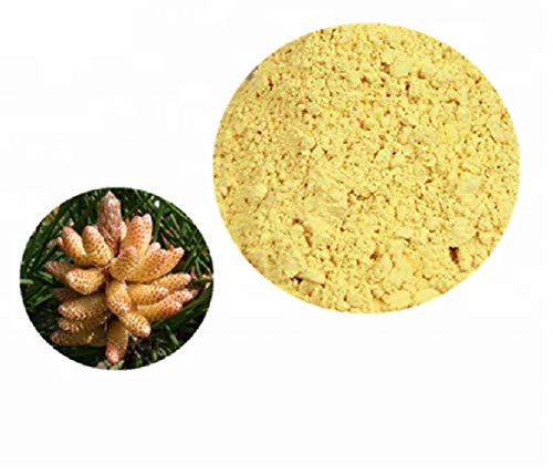 nutrient-rich superfood for wellness