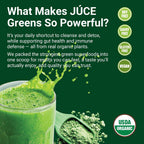 nutrient-rich superfoods for optimal health