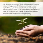Nutrient-rich trace minerals supplement