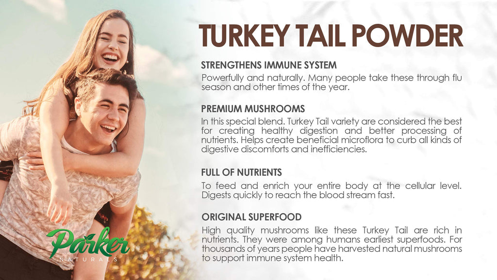 nutrient-rich turkey tail mushroom powder