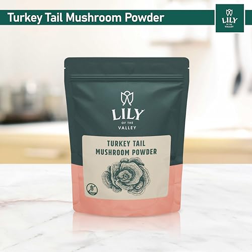 Nutrient-rich Turkey Tail mushrooms