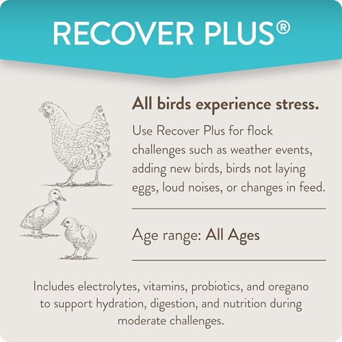 nutrient-rich water supplement for birds