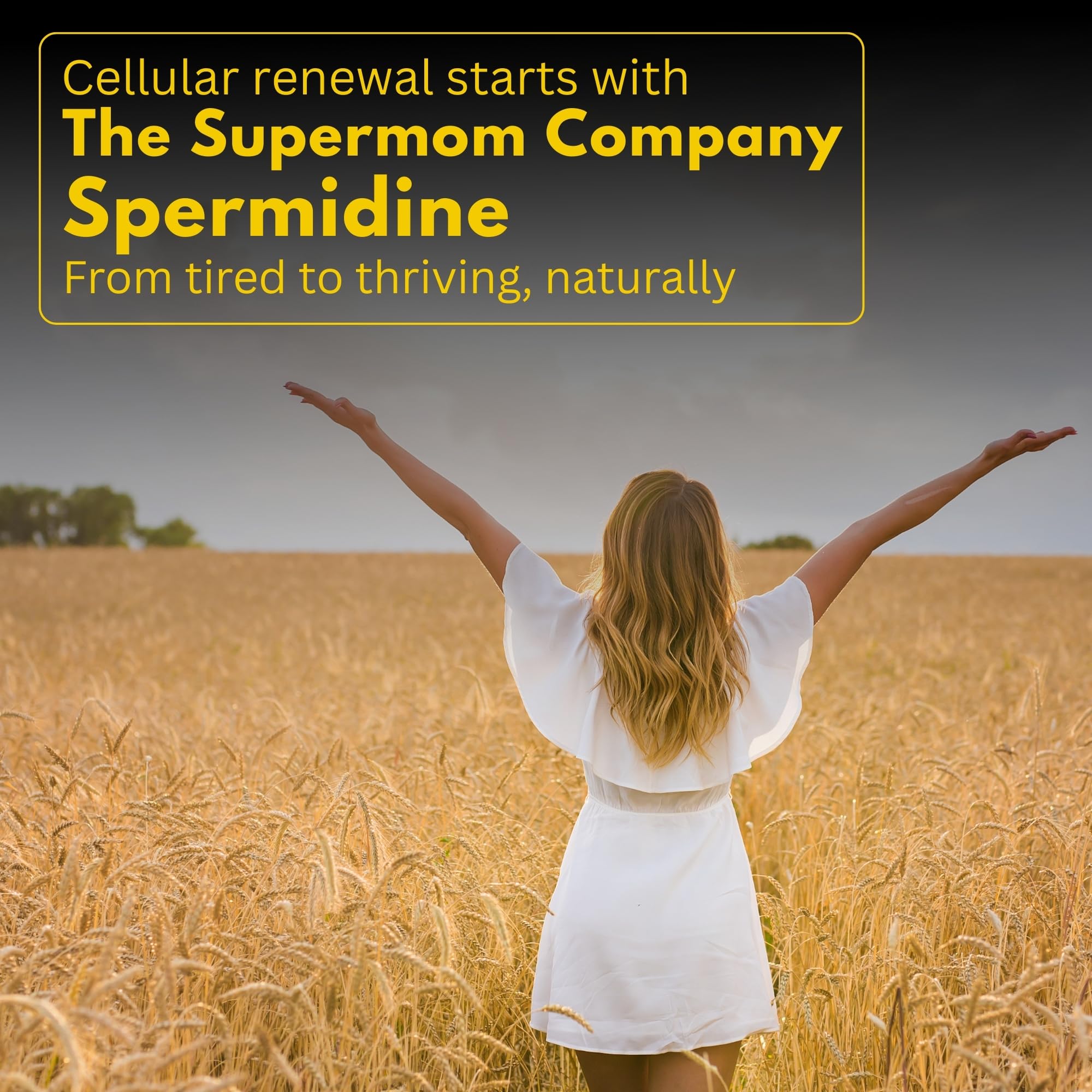 Nutrient-rich wheat germ extract formula