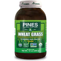 nutrient-rich wheat grass powder