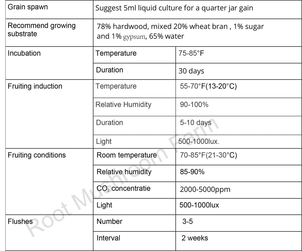 nutrient-rich wood ear mushroom cultures