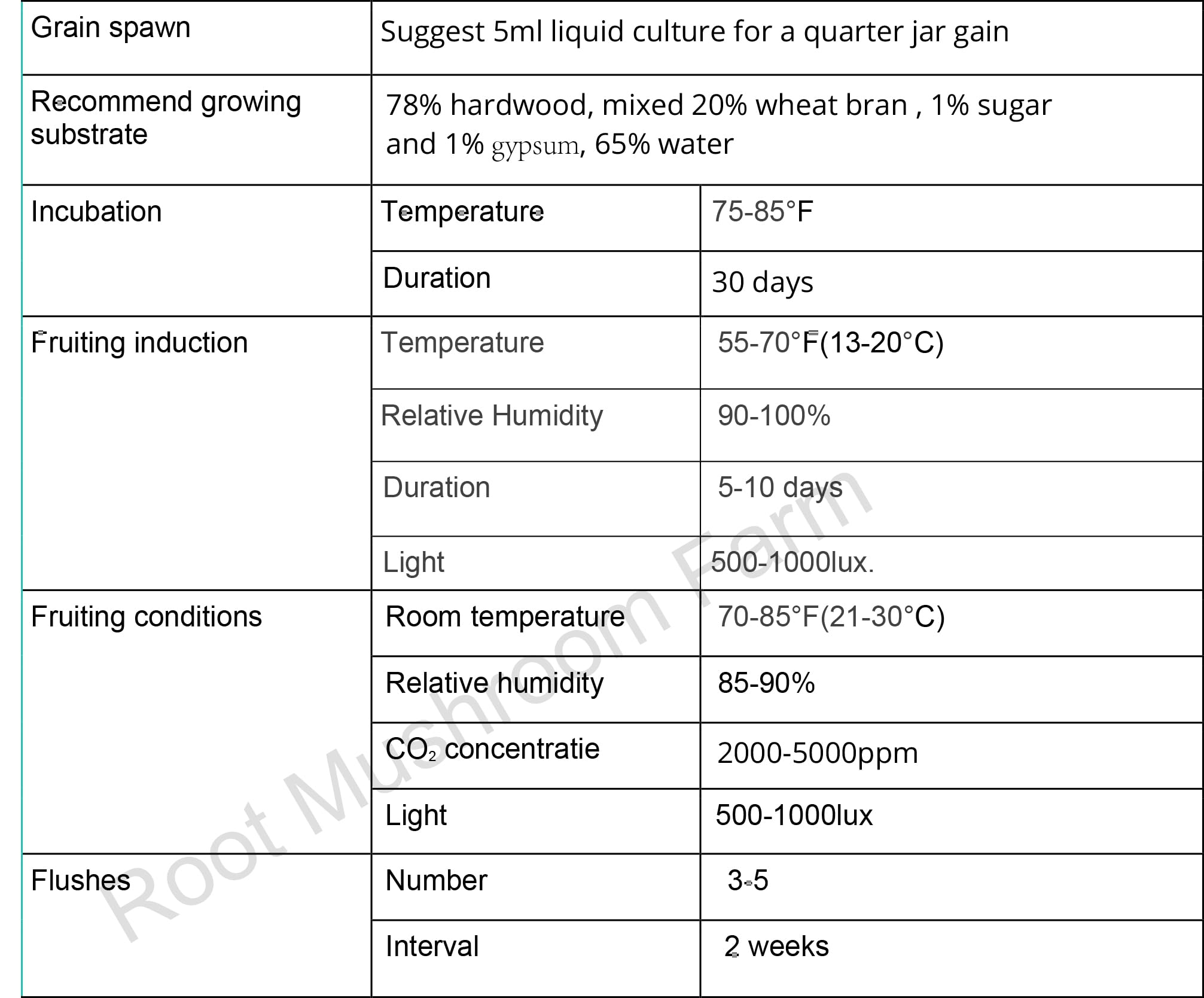 nutrient-rich wood ear mushroom cultures