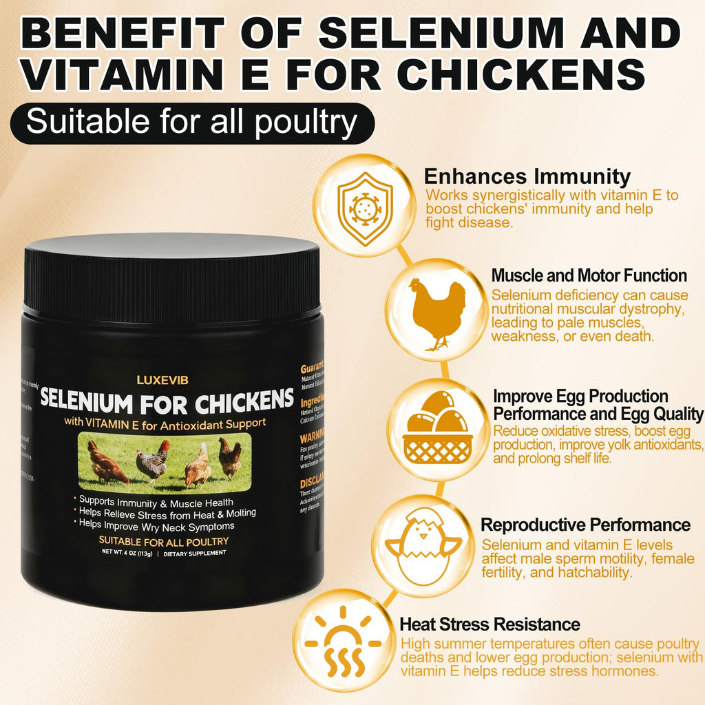 Nutrient support for healthy poultry