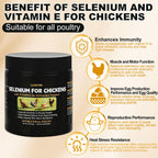 Nutrient support for healthy poultry