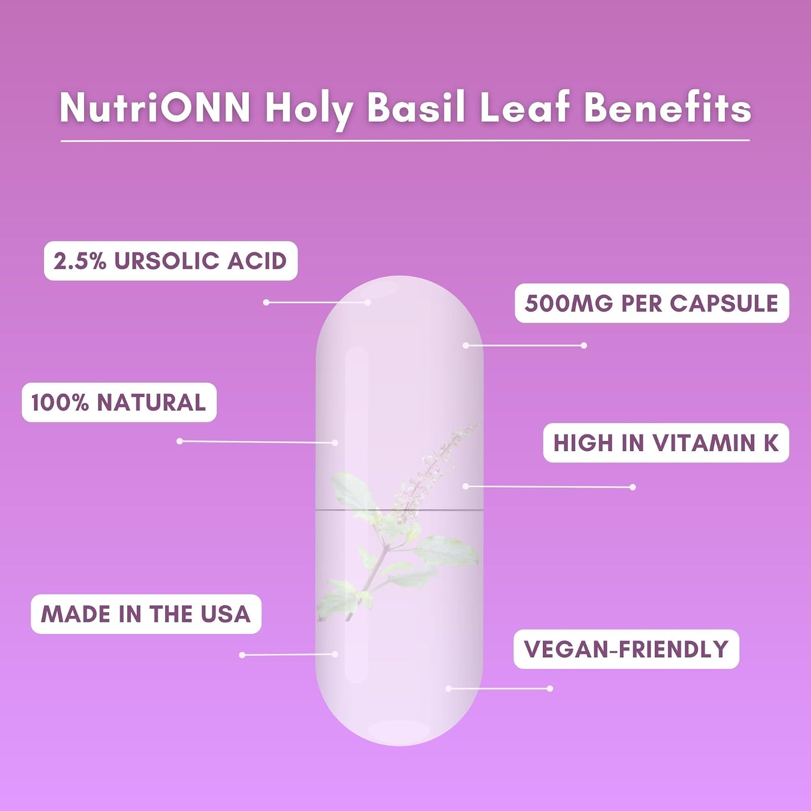 NutriONN vegan capsules for wellness