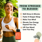 NutriRise 1300 mg ashwagandha for energy boost