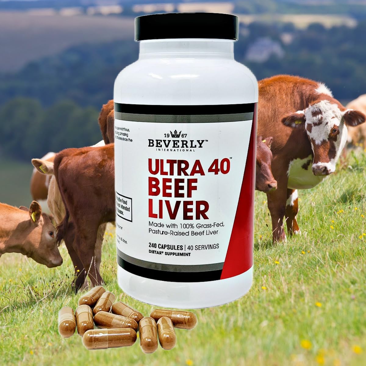 nutritional benefits of beef liver