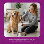 nutritional benefits of collagen for dogs