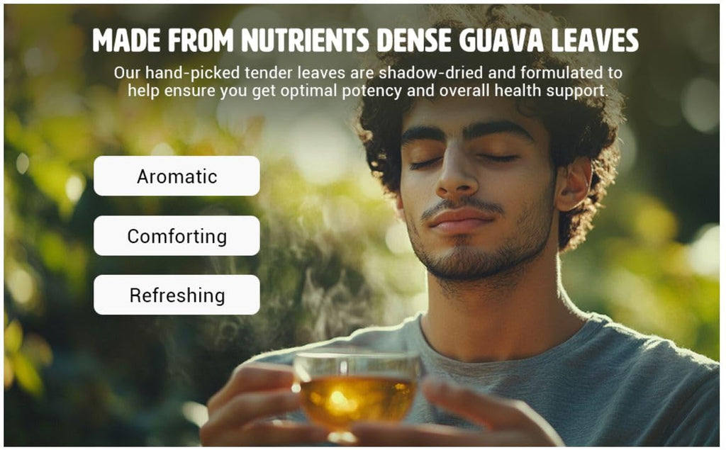 nutritional benefits of guava leaf