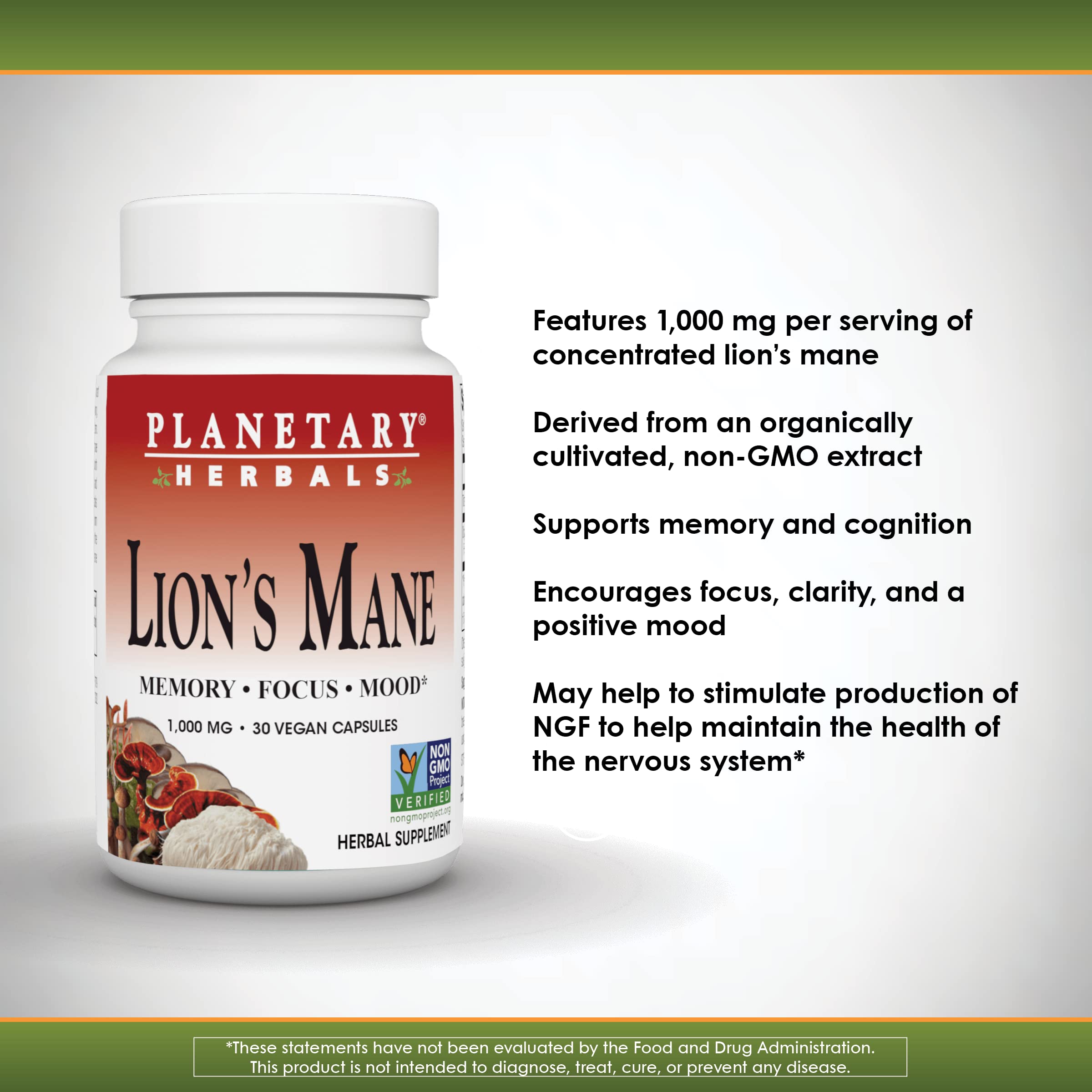 Nutritional benefits of Lion's Mane