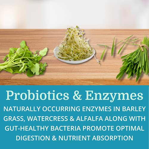nutritional benefits of psyllium fiber