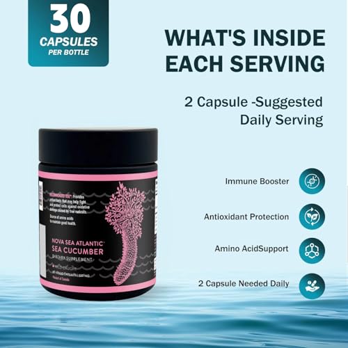 nutritional benefits of sea cucumber