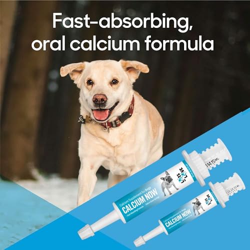 Nutritional calcium for dog mothers