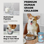 nutritional collagen for active lifestyle