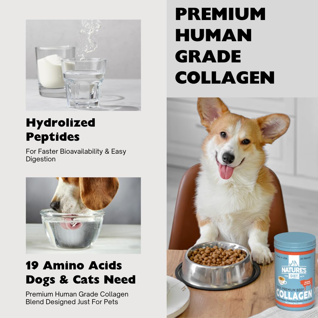 nutritional collagen for active lifestyle