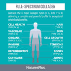 nutritional collagen for healthy hair