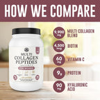 nutritional collagen powder supplement