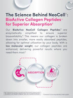 nutritional collagen supplement powder