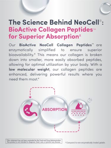 nutritional collagen supplement powder