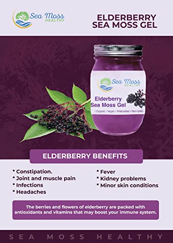 nutritional powerhouse sea moss gel