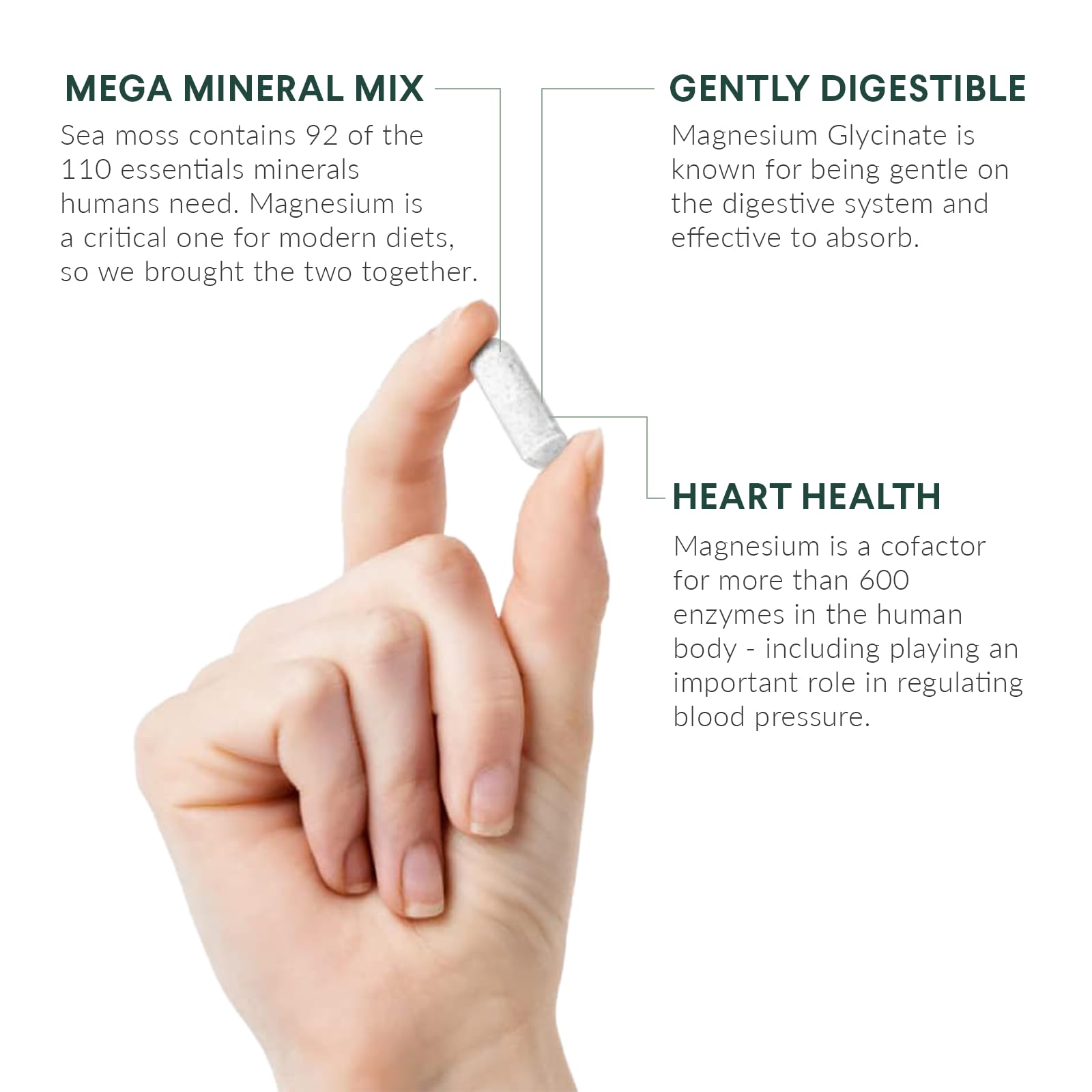 Nutritional Roots magnesium for daily health