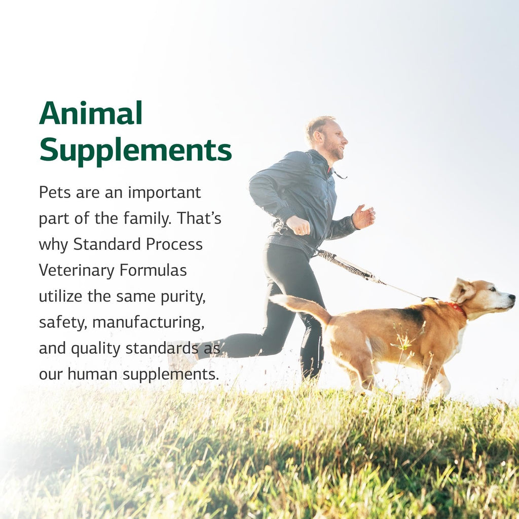 nutritional supplement for dogs