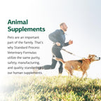 nutritional supplement for dogs