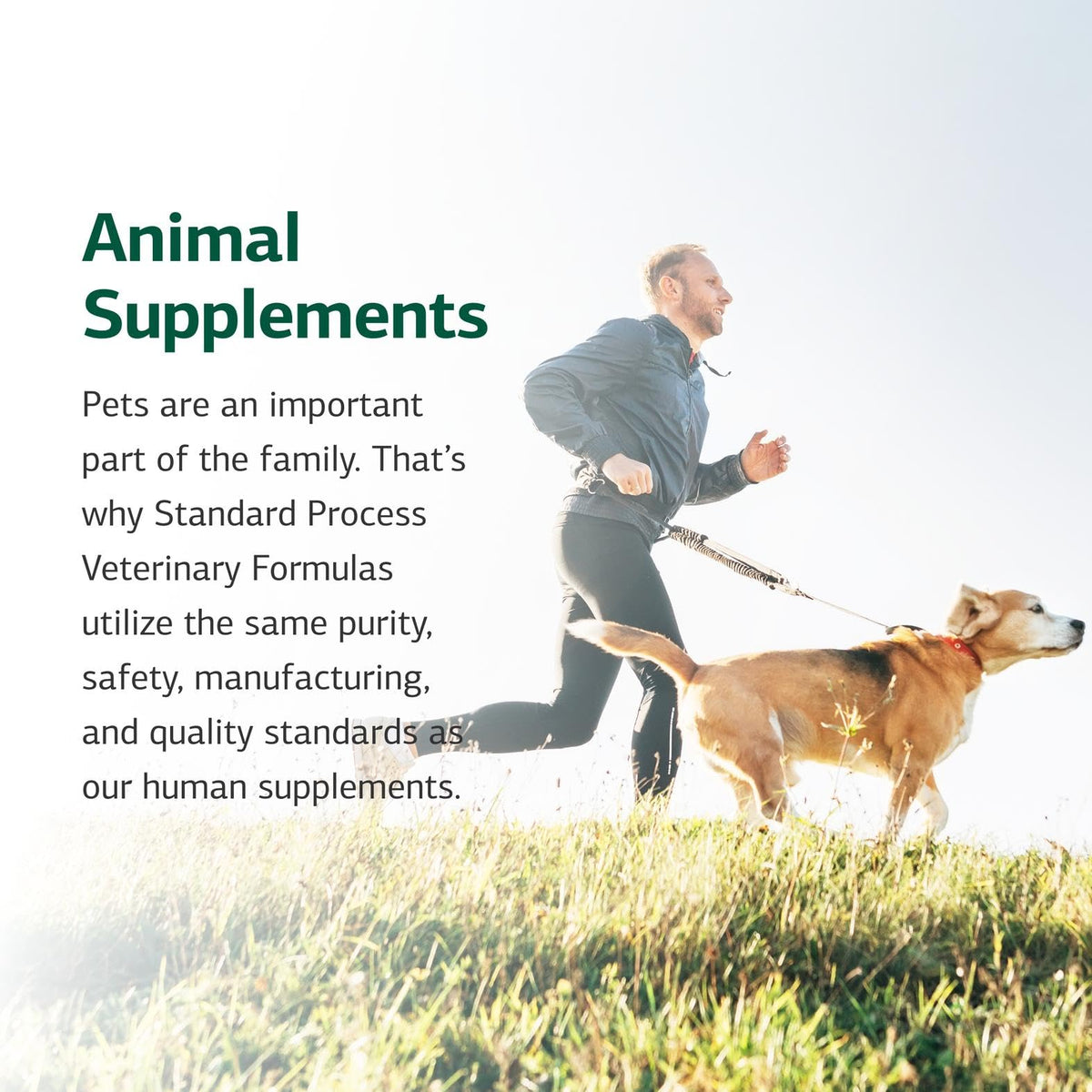 nutritional supplement for dogs
